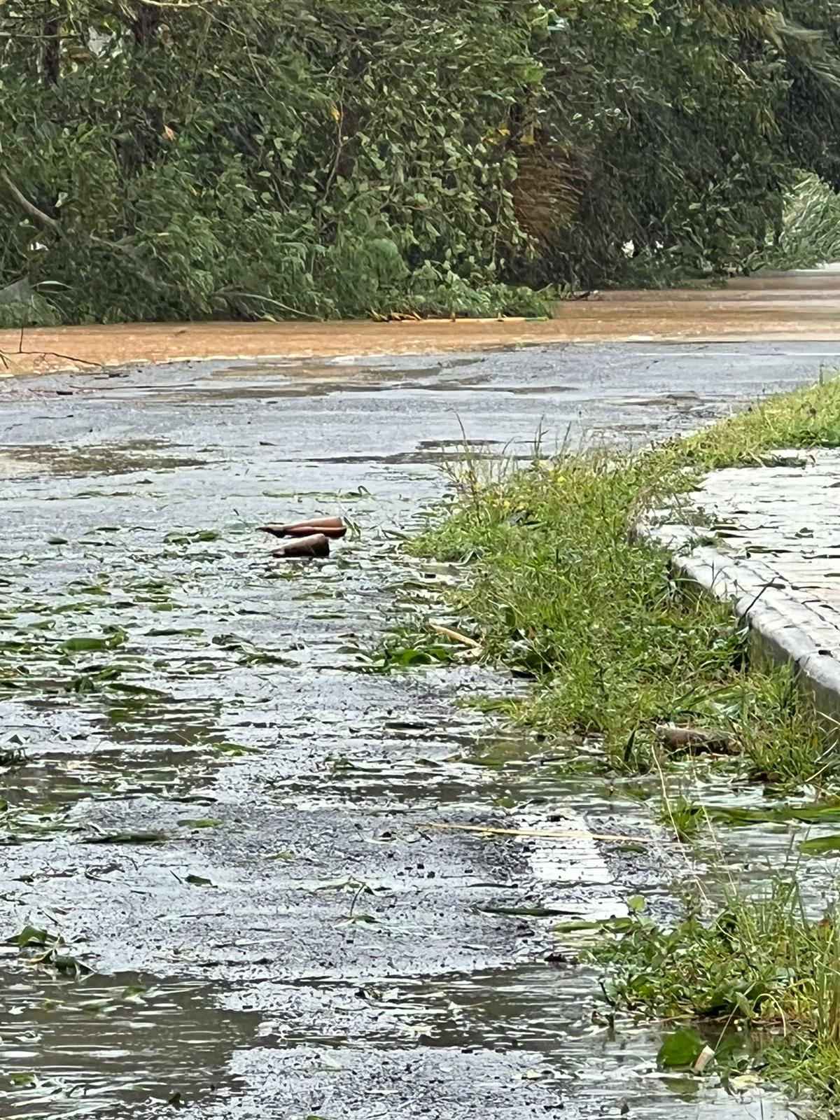 HURACAN FIONA PUERTO RICO (AIXA DORIA) – El Noticiero de Alvarez Galloso